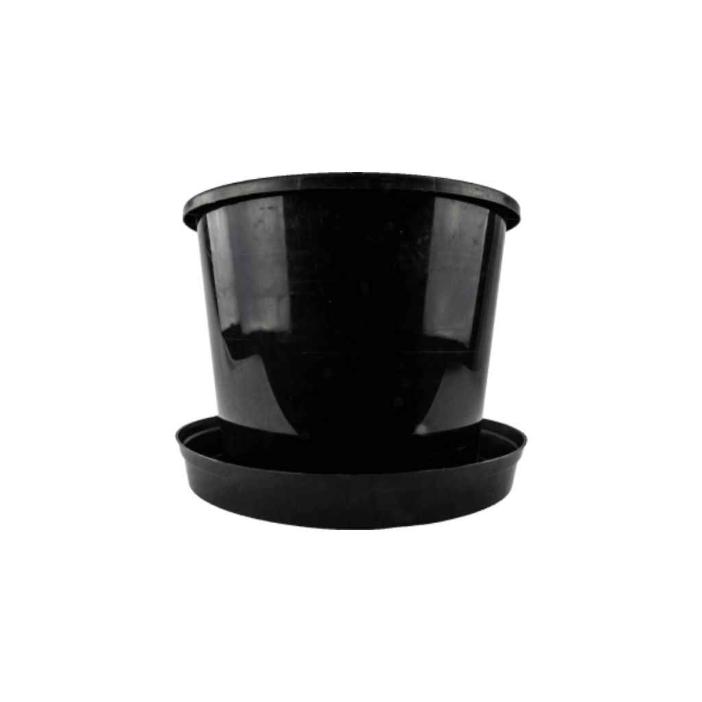 Pots, Saurcers And living soil beds