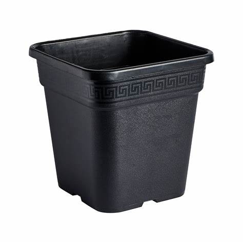 Wilma Square Plant Pots